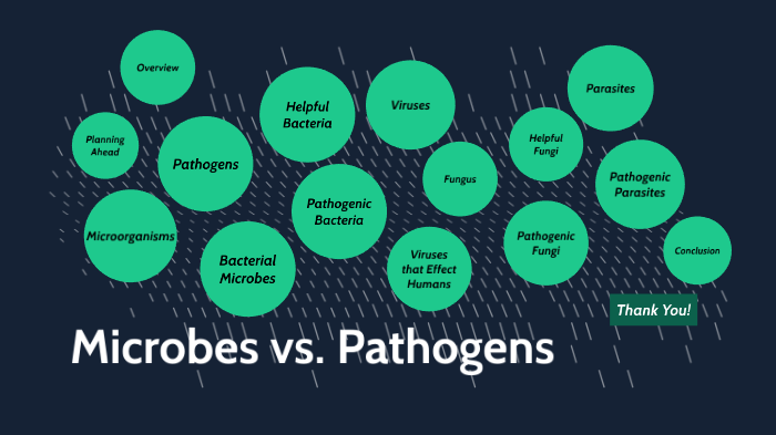 Microbe vs. Pathogen by Ashley DeLong on Prezi