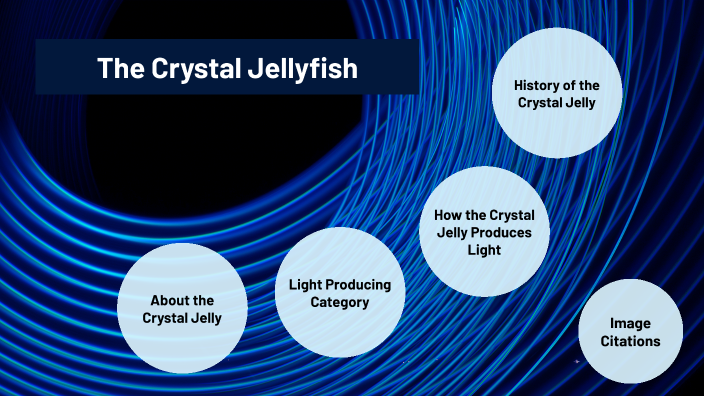 Crystal Jellyfish by Luke Ferrante on Prezi
