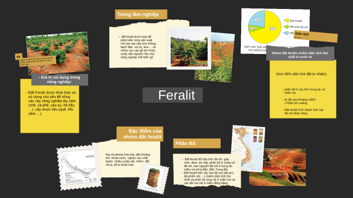 đất feralit by Ling Su on Prezi
