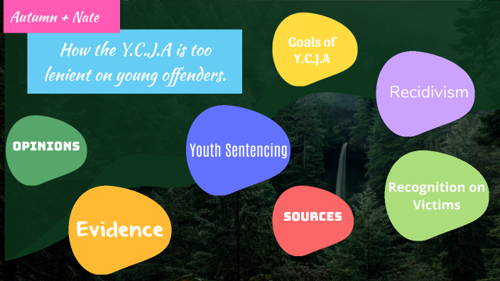 The Y.C.J.A and how its too lienient on young offenders by Autumn ...