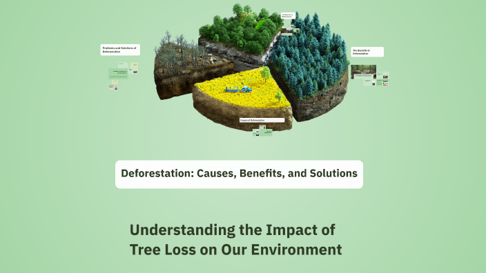 Deforestation: Causes, Benefits, and Solutions by Riyyan Durrani on Prezi
