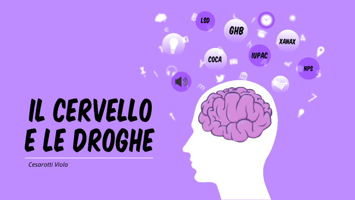 il cervello e le droghe by Viola Cesarotti on Prezi