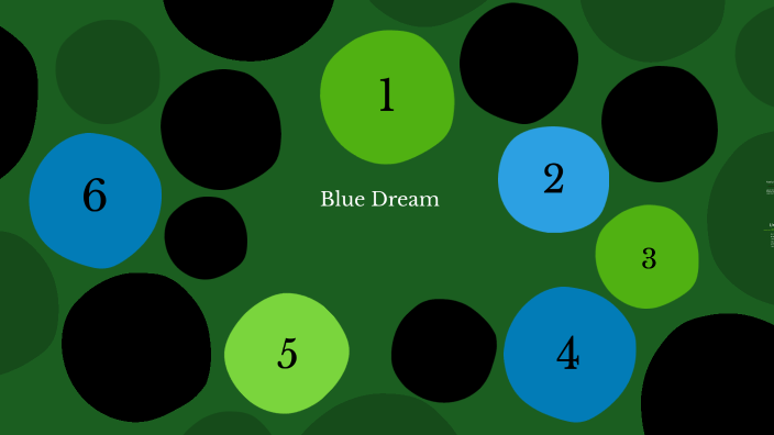 Blue Dream: A Hawaiian Love Story by chani Jindal on Prezi