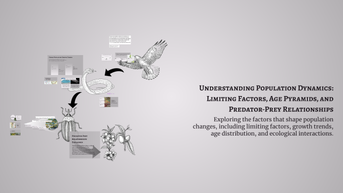Understanding Population Dynamics: Limiting Factors, Age Pyramids, and ...
