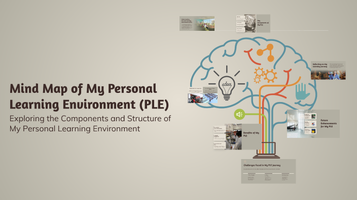 Mind Map of My Personal Learning Environment (PLE) by brianda renata ...