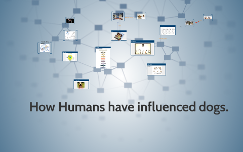 How Humans have influenced dogs. by Juan Sebastian on Prezi
