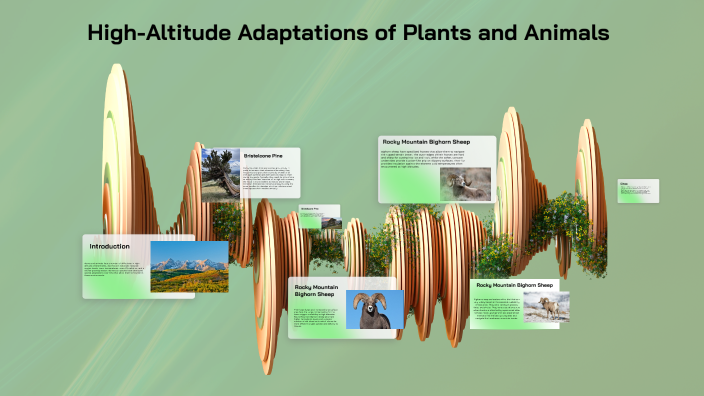 Adaptations of Plants and Animals to High-Altitude Environments in ...