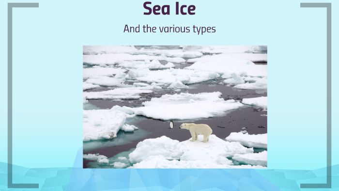 There are various types of sea ice, according to its stage o by ...