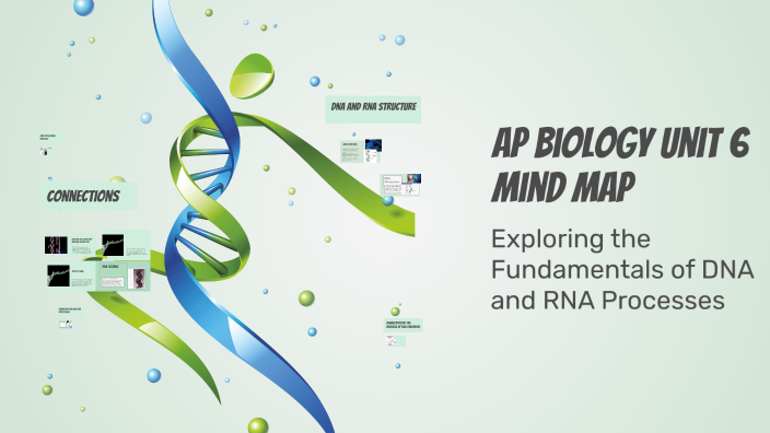 AP Biology Unit 6 Mind Map by Suha Alvario Sanchez on Prezi
