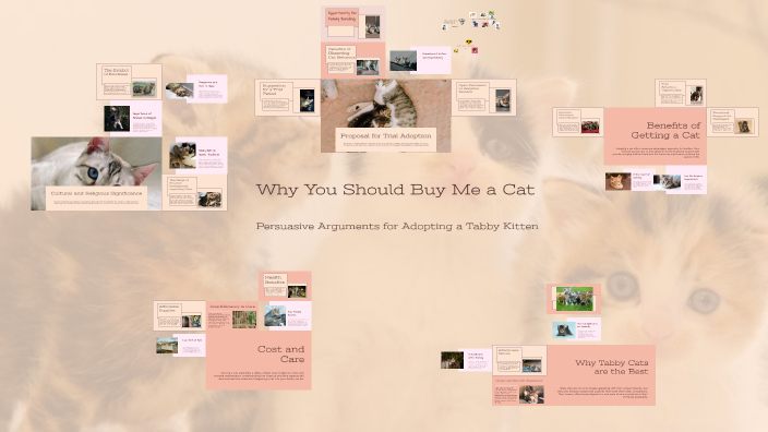 Why You Should Buy Me a Cat by Zainab Khan on Prezi