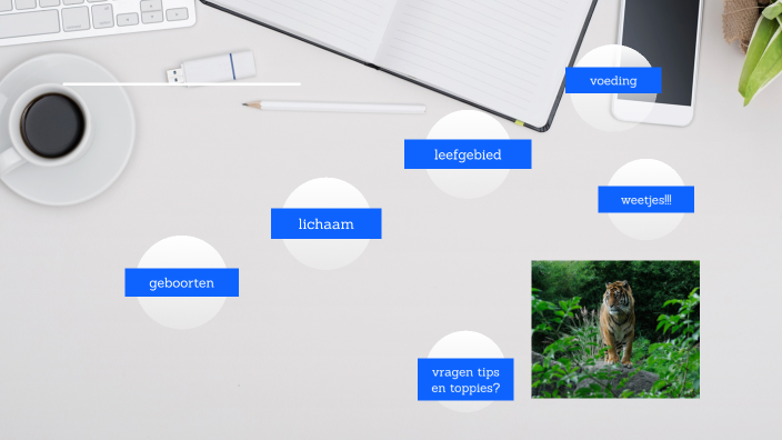 Renzo presentatie by Michelle van Kempen on Prezi