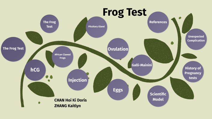 Frog Test by Kait Zhang on Prezi