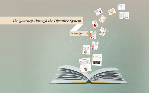 The Journey Through the Digestive System by Jada Fink on Prezi