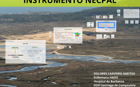INSTRUMENTO NECPAL by on Prezi