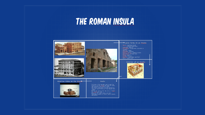 The Roman Insula by Carly McConnell