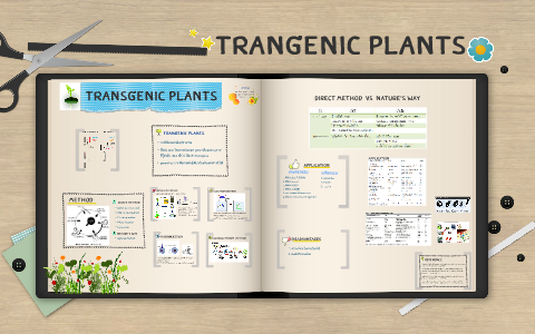 trangenic plant by Prae Saowaneepitak on Prezi