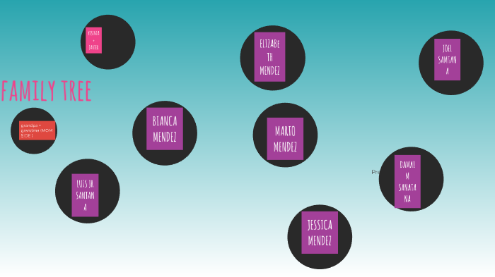 ELIZABETH MENDEZ FAMILY TREE by elizabeth mendez on Prezi