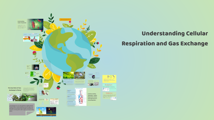 Understanding Cellular Respiration and Gas Exchange by abeer shams on Prezi