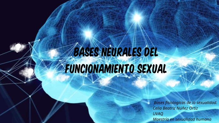 Bases neurales del funcionamiento sexual by CELIA BEATRIZ Nuñez Ortiz ...