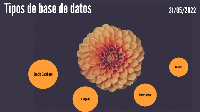Tipos de base de datos by Gutierrez Stephanny on Prezi