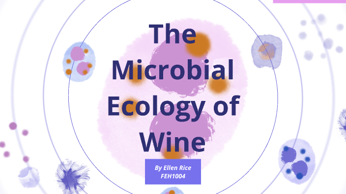 The Microbial Ecology of Wine by ellen rice on Prezi