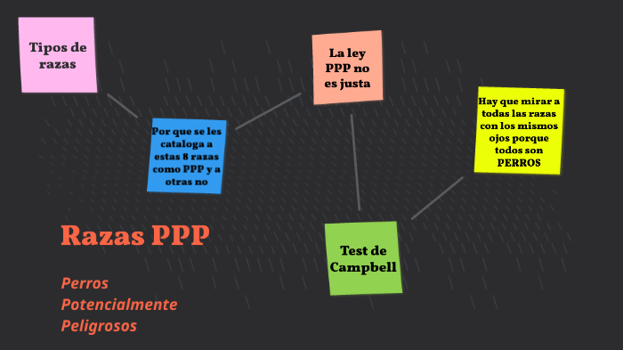 Razas PPP (Perros Potencialmente Peligrosos) by Ana Palacios Zaragoza ...