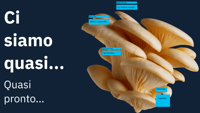 Fusariosi della Spiga by Giulia Natalini on Prezi