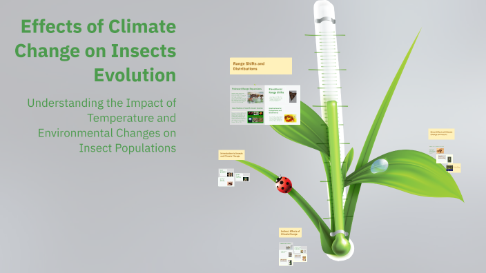 Effects of Climate Change on Insects Evolution by c b on Prezi