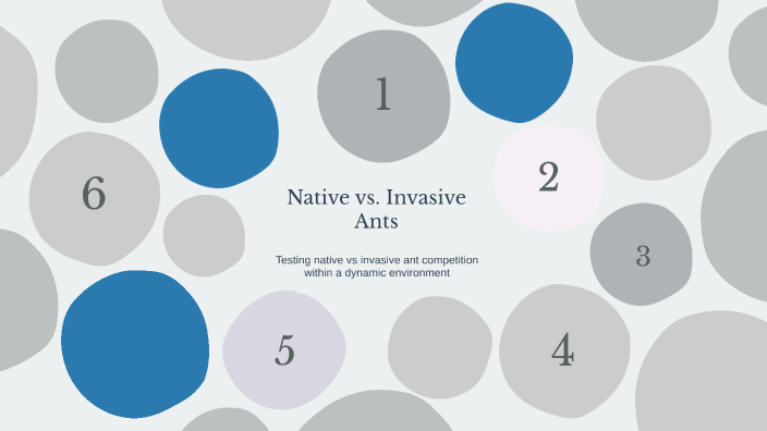 Native vs. Invasive Ants by Cooper Eveland on Prezi