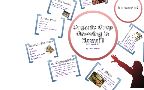 Organic Crop Growing in Hawai'i by Daniel Nish