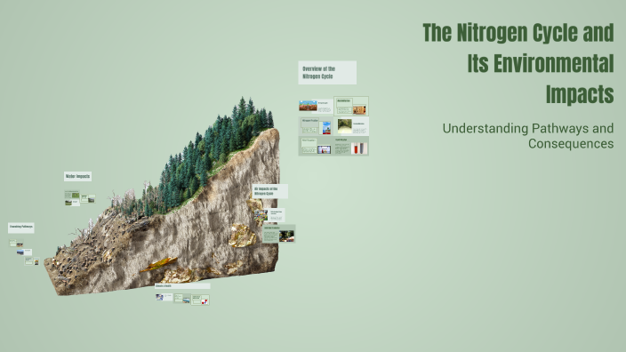 The Nitrogen Cycle and Its Environmental Impacts by Daniel on Prezi