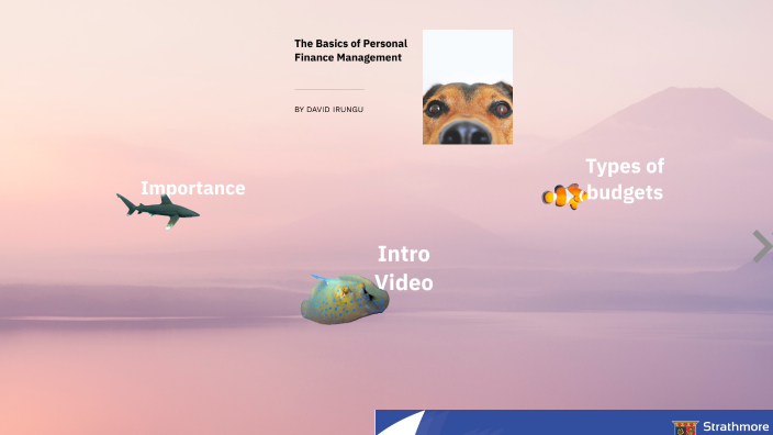 Test presentation by David Irungu on Prezi