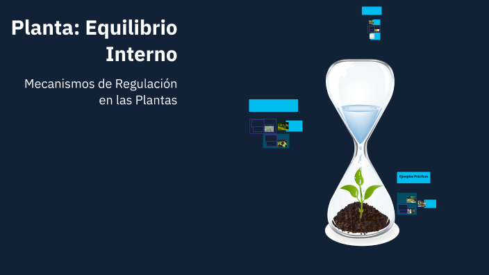 Planta: Equilibrio Interno by Isabella Valencia Alfonso ESTUDIANTE MRHS ...