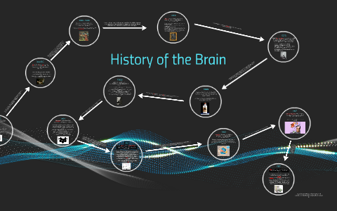 History of the Brain by Laurel Taylor on Prezi