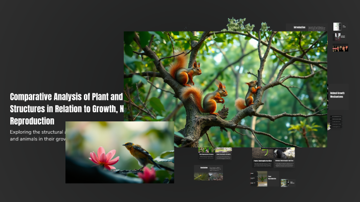 Comparative Analysis of Plant and Animal Structures in Relation to ...