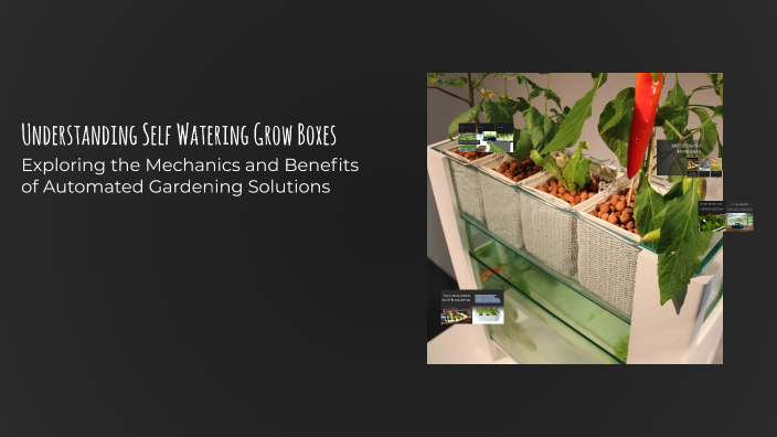 Understanding Self Watering Grow Boxes by Kitty Christian on Prezi
