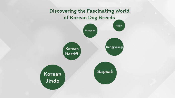 Discovering the Fascinating World of Korean Dog Breeds by Michael ...