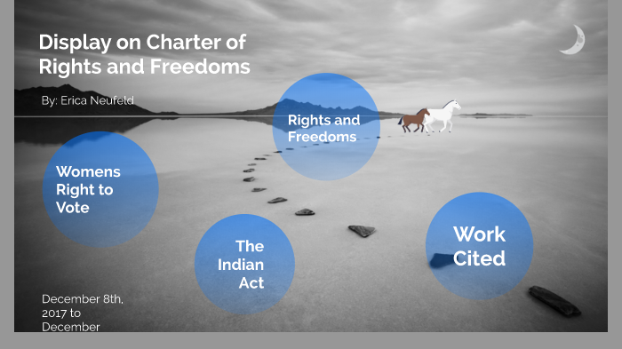 Display on Charter of RIghts and freedoms by Erica Neufeld on Prezi