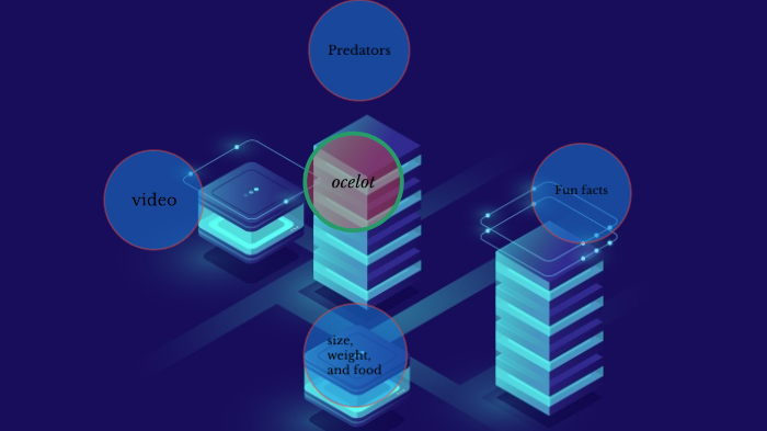 Ethan's presentation by Ethan Shook on Prezi