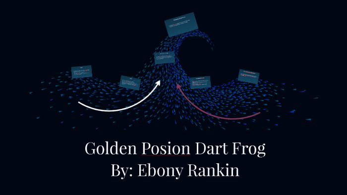 Golden Posion Dart Frog by ebony rankin on Prezi