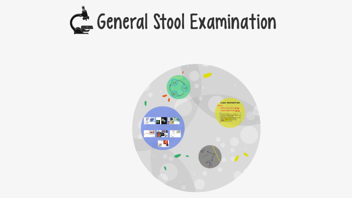 General Stool Examination by Hassan Jamal on Prezi