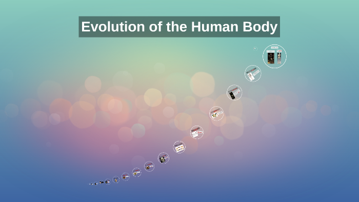 Evolution of the Human Body by Amie Rudnicki on Prezi