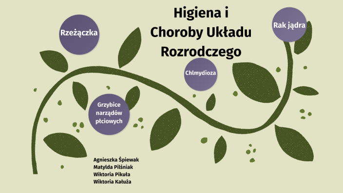 Higiena I Choroby Uk adu Rozrodczego By Wiktoria Ka u a On Prezi