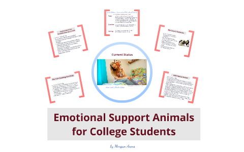 Emotional Support Animals for College Students by Morgan Arons on Prezi