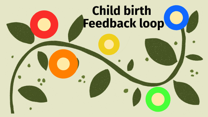 The Homeostasis Project - Child Birth by Erynn Sly on Prezi