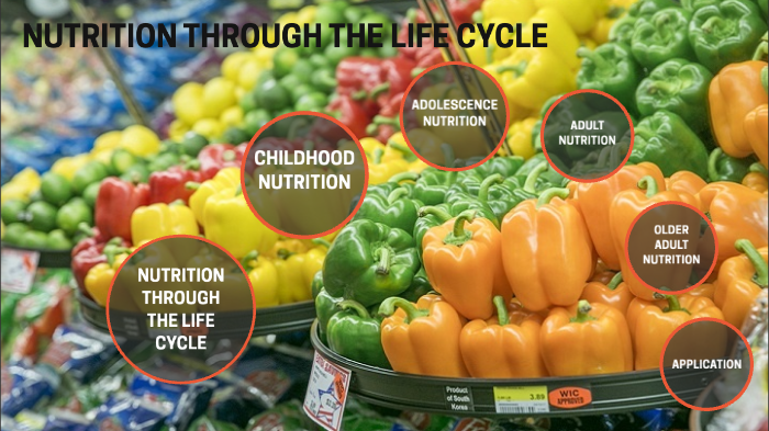 Nutrition Through the Lifecycle by Jessica George on Prezi