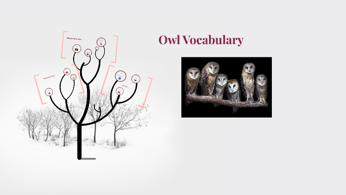 Owl Vocabulary by Kelsie Haggard on Prezi
