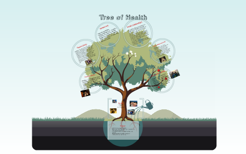 Tree of Health by Mary Knoop on Prezi