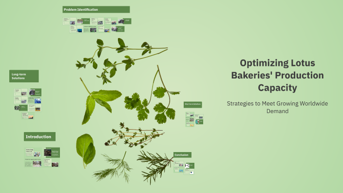 Optimizing Lotus Bakeries' Production Capacity by on Prezi