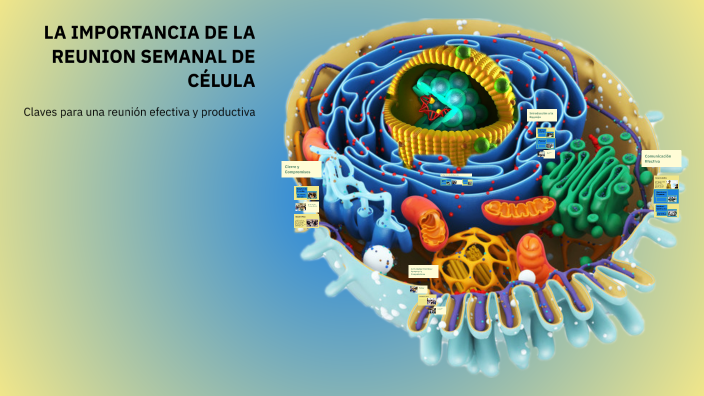 ELEMENTOS IMPORTANTES DE LA REUNION SEMANAL DE CÉLULA by Edwin Cordon ...